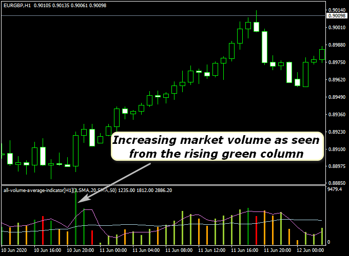 Big Trend With Volume Forex Signal Indicator For MT4